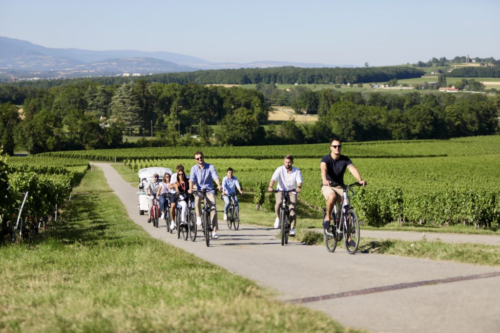 Escape game dans les vignes - Welo & Cave de Genève - Teambuilding pour ...